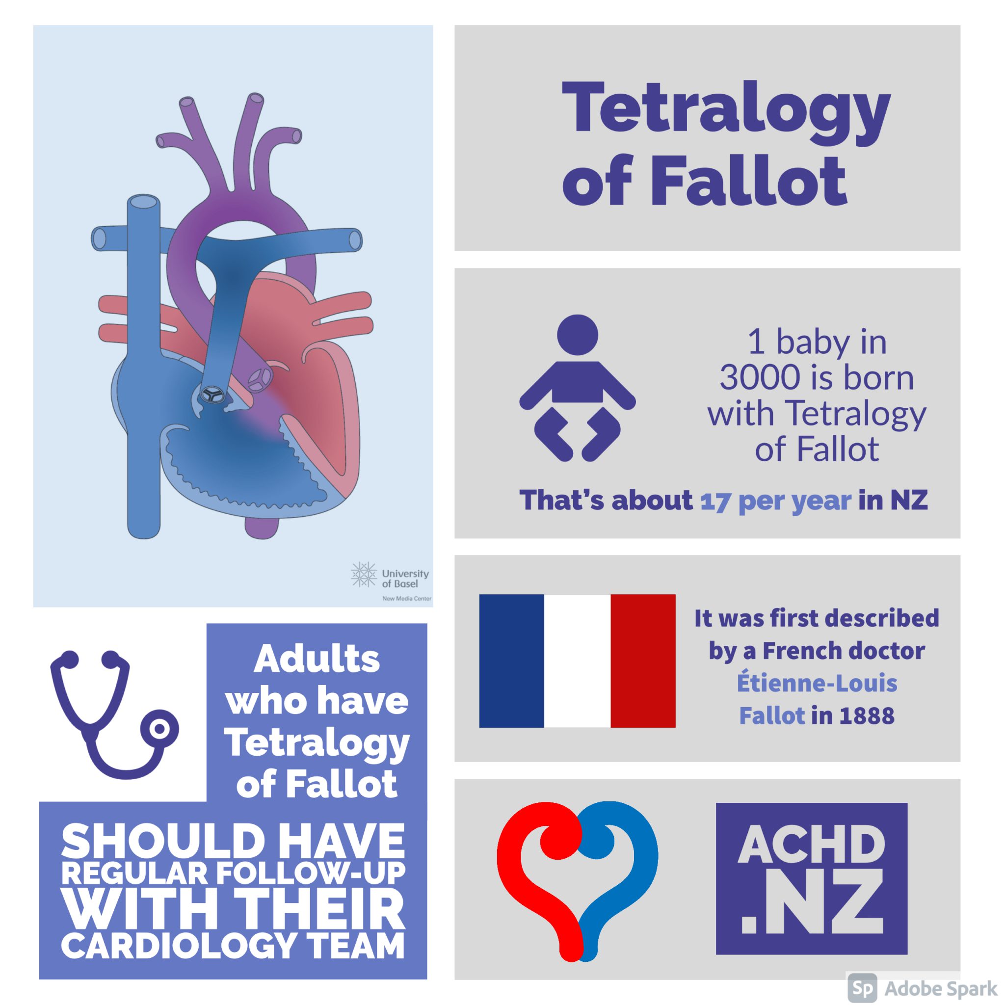 Tetralogy of Fallot – ACHD NZ